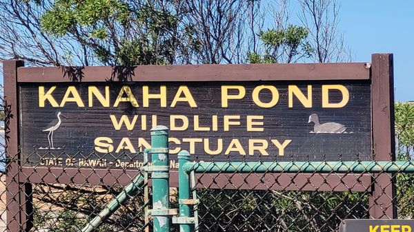KANAHA POND STATE WILDLIFE SANCTUARY - Updated September 2024 - 92 ...