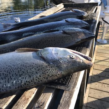 BON CHOVY FISHING CHARTERS - Updated October 2025 - 29 Photos & 15 ...