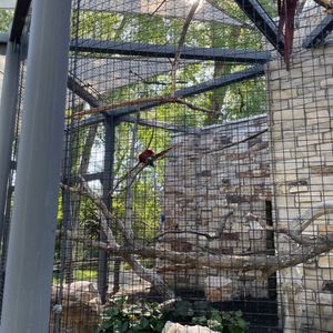 TRACY AVIARY - 450 Photos & 171 Reviews - 589 E 1300th S, Salt Lake ...
