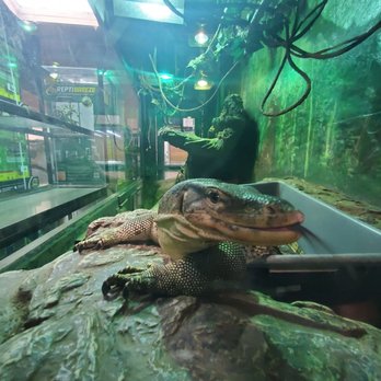 EAST BAY VIVARIUM - Updated June 2024 - 592 Photos & 563 Reviews - 1827 ...