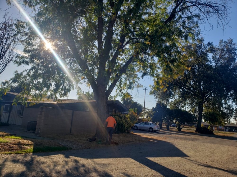 VALLEY VIEW TREE SERVICE - Updated January 2026 - 43 Photos & 20 ...