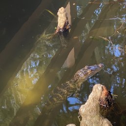 LAKE HARRIS HIDEAWAY - Updated July 2025 - 160 Photos & 106 Reviews ...