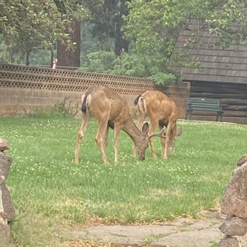 HIGH DESERT STATE PRISON - Updated October 2025 - 21 Photos - 475-750 ...