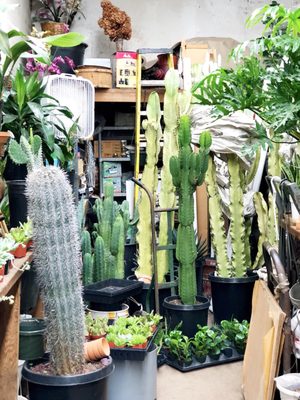 NOBLE PLANTS - 44 Photos & 87 Reviews - Nurseries & Gardening - 106-A W ...