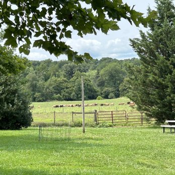 PRIGEL FAMILY CREAMERY - Updated December 2025 - 127 Photos & 141 ...