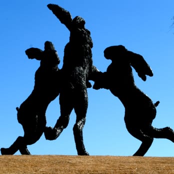 GIANT DANCING RABBITS OF BALLANTRAE PARK - Updated November 2025 - 22 ...