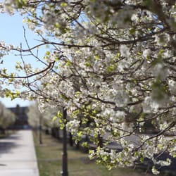 EASTERN NEW MEXICO UNIVERSITY - 11 Photos - 1500 S Ave K, Portales, New ...