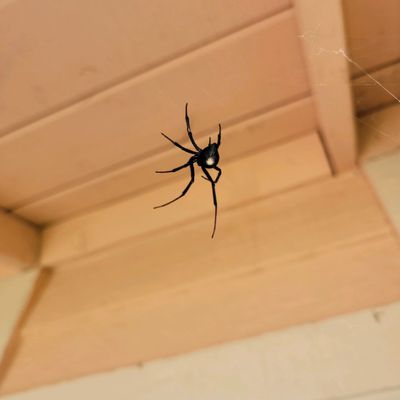 FAST ACTION PEST CONTROL - Updated December 2025 - 137 Photos & 756 ...