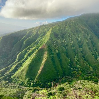 WAIHEE RIDGE TRAIL - Updated May 2024 - 746 Photos & 197 Reviews ...