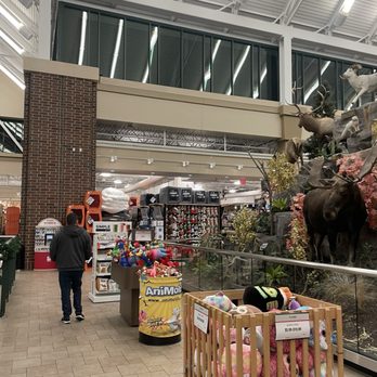 SCHEELS - Updated September 2024 - 293 Photos & 229 Reviews - 11282 S ...