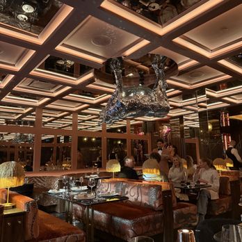 ANIML - Updated January 2026 - 34 Photos - 420A Wellington Street W ...