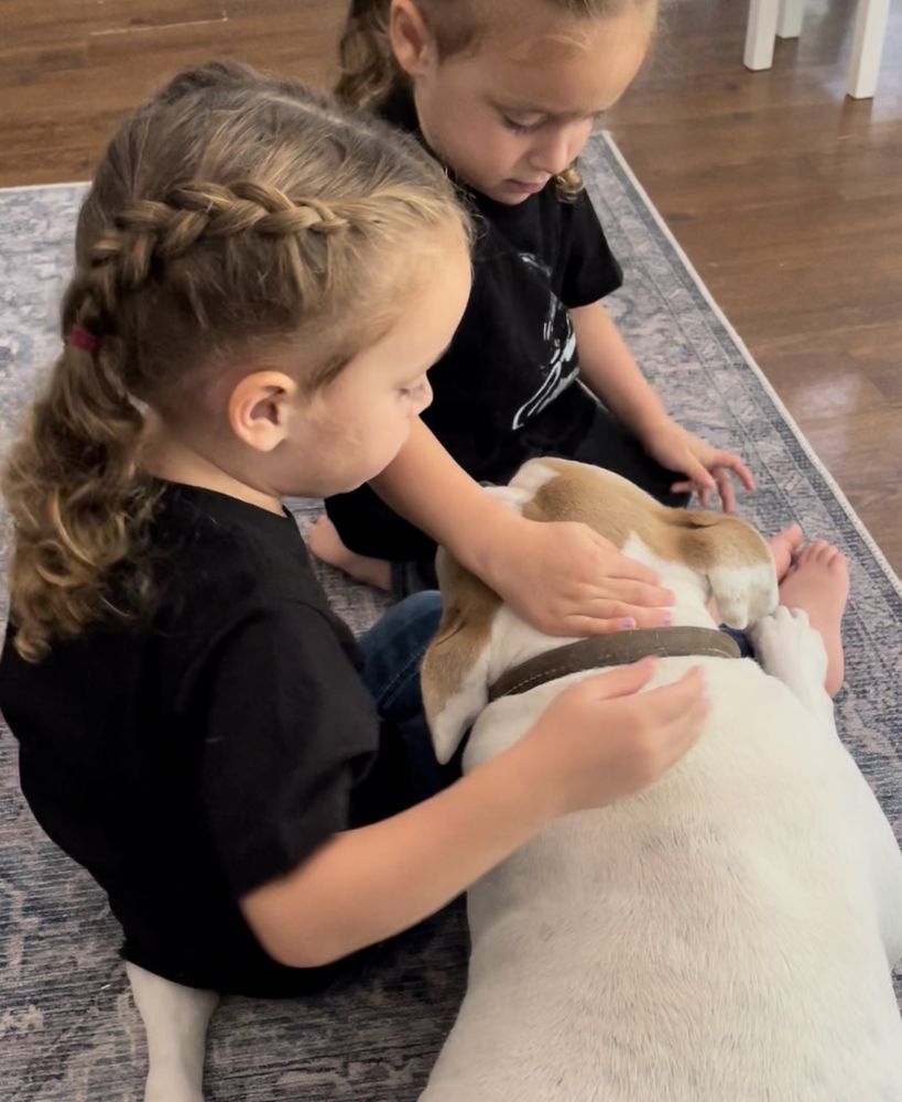 ZEN PAW DOG WALKING & PET SITTING - Updated June 2025 - Arlington ...