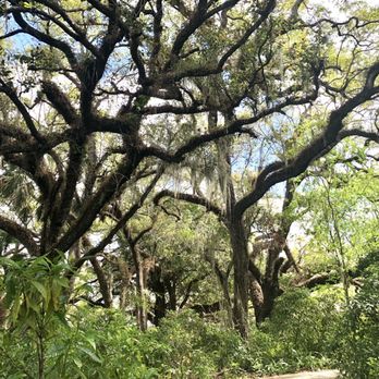 LONG KEY NATURAL AREA & NATURE CENTER - Updated December 2025 - 298 ...