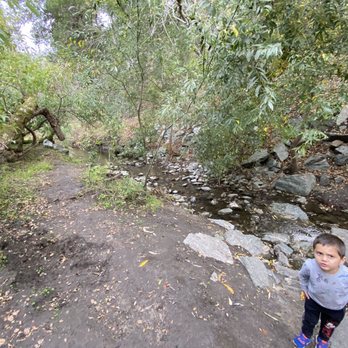 SABERCAT CREEK TRAIL - Updated October 2025 - 287 Photos & 24 Reviews ...