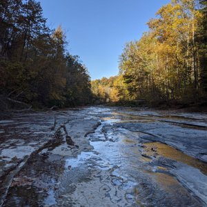 SKY HIGH ADVENTURE PARK - Updated November 2024 - 70 Photos & 36 ...