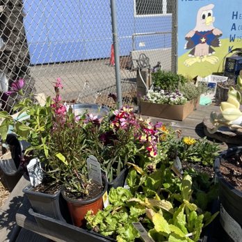 FLOWERCRAFT GARDEN CENTER - Updated January 2025 - 704 Photos & 229 ...