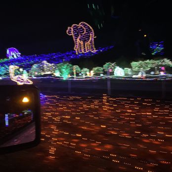 CALM ZOO - Updated March 2025 - 489 Photos & 164 Reviews - 10500 Alfred ...