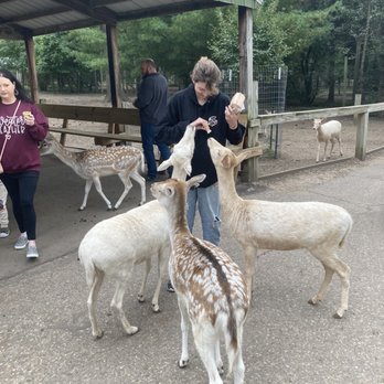 WISCONSIN DEER PARK - Updated June 2024 - 228 Photos & 120 Reviews ...