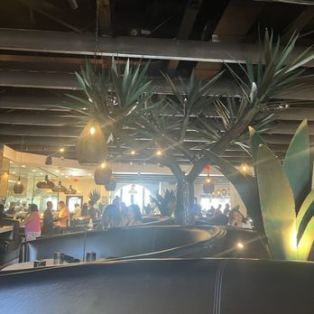 PV’S PRIME GRILL & TEQUILA - Updated December 2025 - 1105 Photos & 812 ...