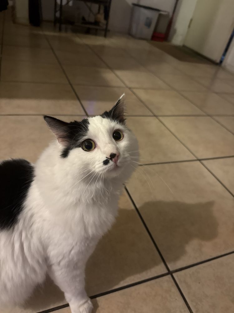 HYDREX PEST CONTROL - Updated December 2025 - 14 Photos & 101 Reviews ...