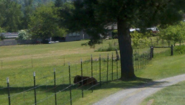 SNOQUALMIE FALLS GOLF COURSE - Updated July 2024 - 22 Photos & 27 ...