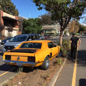 MOSTLY MUSTANGS - Updated December 2025 - 16 Photos & 40 Reviews - 2576 ...