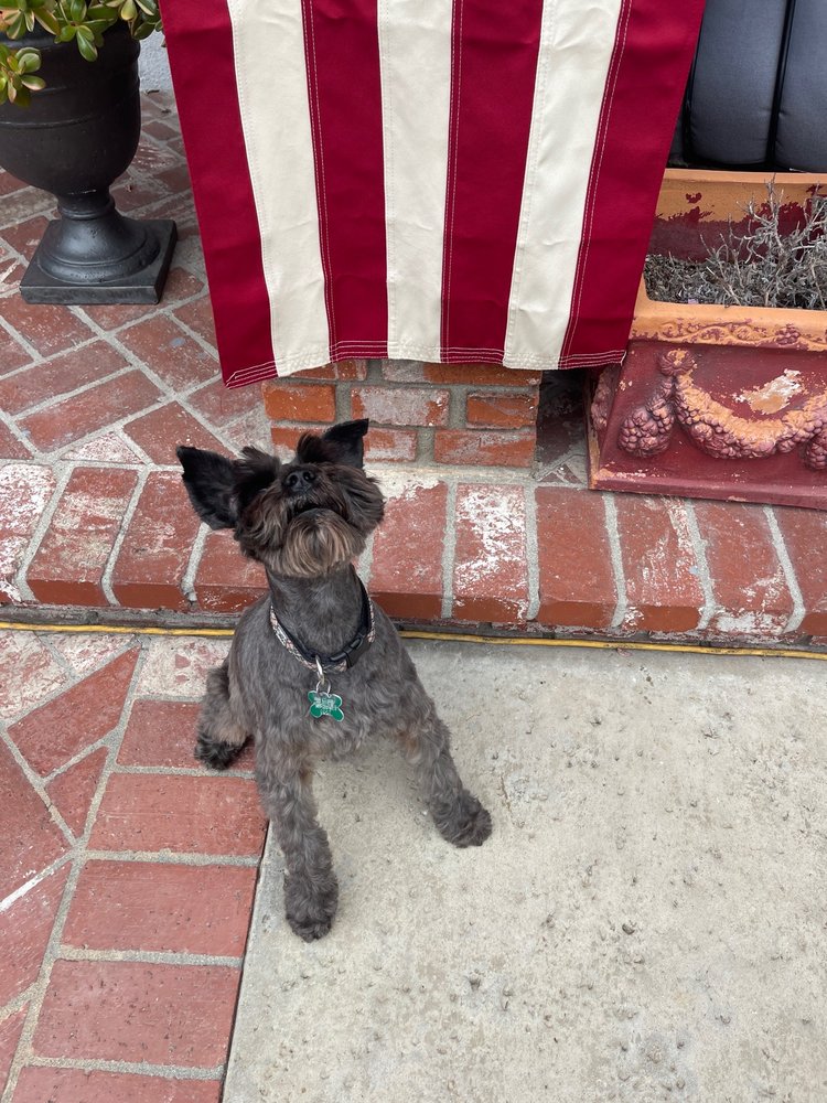 PAWGO - Updated May 2025 - 36 Photos & 78 Reviews - Los Angeles ...