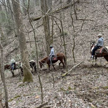BLUE RIDGE MOUNTAIN TRAIL RIDES - Updated December 2025 - 186 Photos ...