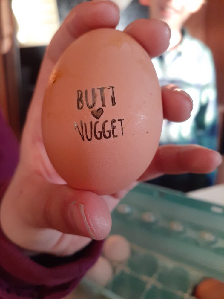 PORCH HONKEY RANCH - Updated October 2024 - 622 S River Rd, Dyer ...