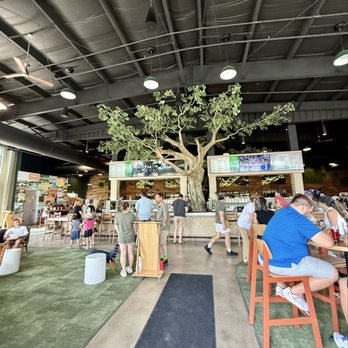 MADTREE PARKS & REC - Updated October 2025 - 138 Photos & 69 Reviews ...