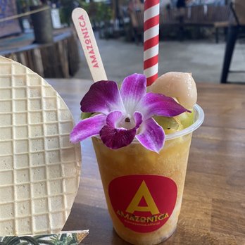 AMAZONICA - Updated October 2024 - 182 Photos & 116 Reviews - 5030 NE ...