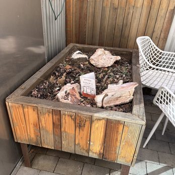 INTAZZA COFFEE WORKS - Updated February 2025 - 988 Photos & 778 Reviews ...