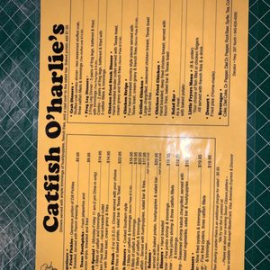 CATFISH O’HARLIES - 55 Photos & 72 Reviews - Seafood - 1019 N Hwy 287 ...