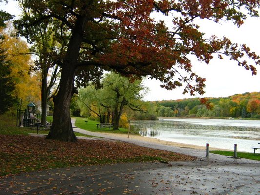 ACKERMAN’S GROVE COUNTY PARK - Updated December 2024 - 4875 CR-Z, West ...