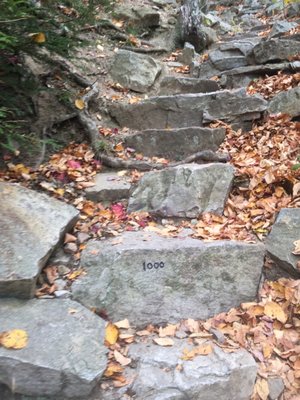 THOUSAND STEPS - Updated July 2025 - 14 Photos - William Penn Hwy ...