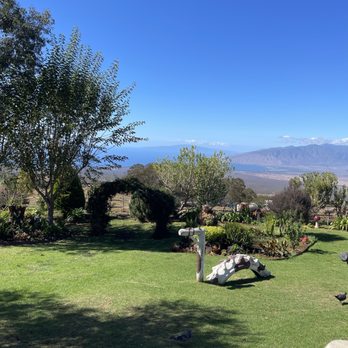 KULA COUNTRY FARMS - Updated July 2025 - 1011 Photos & 134 Reviews ...