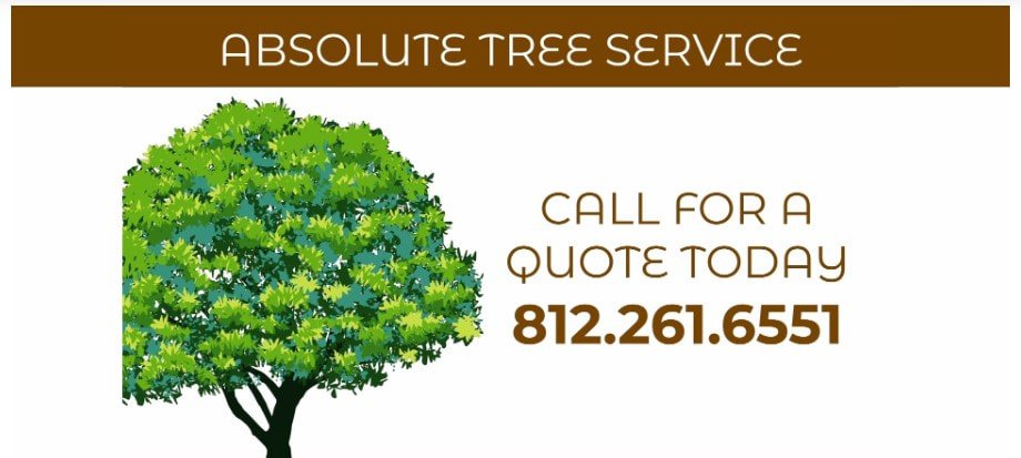 ABSOLUTE TREE SERVICE - Updated October 2025 - 7698 E Red Cherry Ave, North Terre Haute, Indiana ...