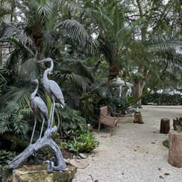 RF ORCHIDS - Updated November 2025 - 652 Photos & 76 Reviews - 28100 SW ...