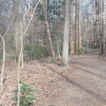 DEEPDENE PARK - Updated January 2026 - 39 Photos - N Ponce De Leon Ave ...