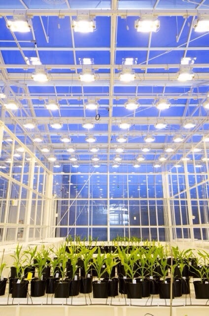 SYNGENTA - Updated May 2024 - 3054 Cornwallis Rd, Durham, North ...