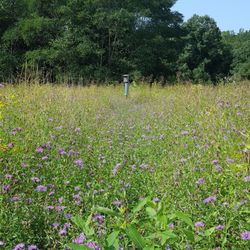 MILL HOLLOW VERMILION RIVER RESERVATION - 30 Photos & 11 Reviews ...