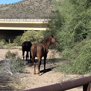 PEBBLE BEACH RECREATION SITE - Updated November 2025 - 28 Photos - Mesa ...