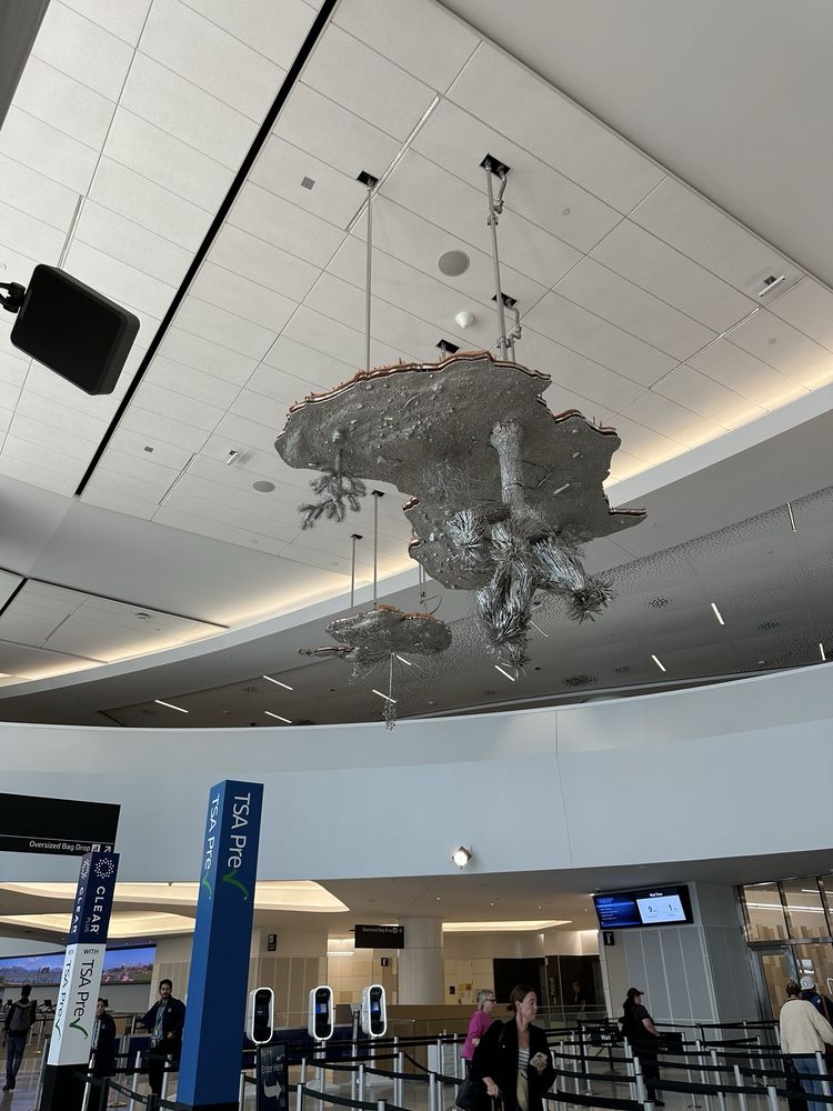 TSA PRECHECK - TERMINAL 1 - Updated January 2026 - 30 Photos & 20 ...