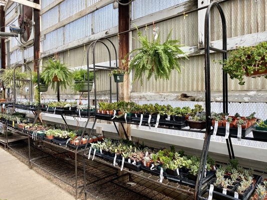 VALLEY NURSERY - Updated September 2025 - 48 Photos & 31 Reviews - 6484 ...