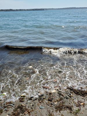 SANDY POINT BEACH - Updated May 2025 - 25 Photos - 620 Sandy Point Ave ...