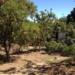 GEORGE KEY RANCH HISTORIC PARK - 34 Photos - 625 W Bastanchury Rd ...