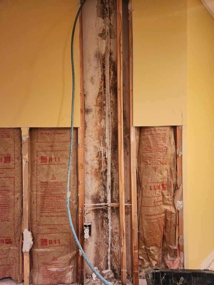 THE MICHIGAN CRACK MAN - Updated August 2024 - Request a Quote - Taylor ...