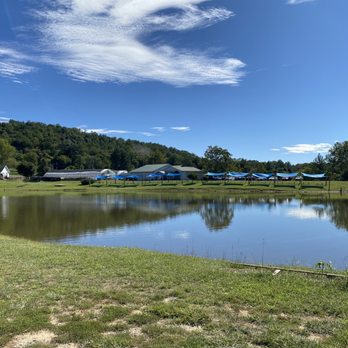 CRITZER FAMILY FARM - Updated December 2025 - 18 Photos & 16 Reviews ...