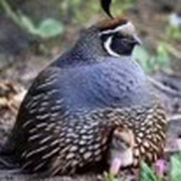 ZEPPOZ - Updated December 2025 - 36 Photos & 72 Reviews - 780 SE Bishop ...