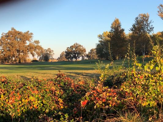 CASTLE OAKS GOLF CLUB - Updated December 2025 - 33 Photos & 48 Reviews ...